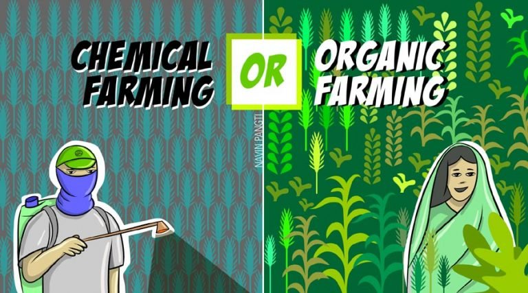 Organic versus chemical farming – 18 key differences – pangti | पांगती